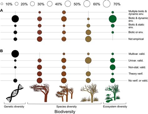 Model Structure And Assessment A Shows Model Structure Download Scientific Diagram
