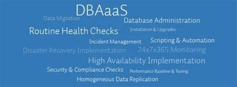 Database Administrator As A Service Dbaaas At Rs 5000unit In Nagpur