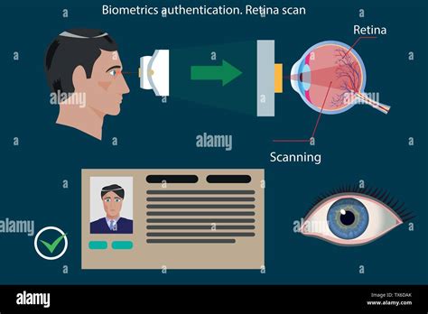 Retina Scan Type Of Biometric Authentication Concept Vector Illustration Stock Vector Image