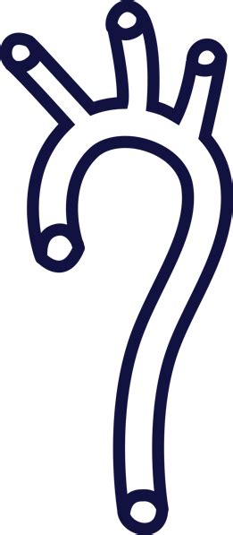 Ct Ai Algorithms Aidoc