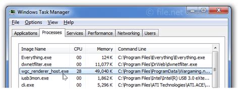 wgc renderer host exe windows process what is it