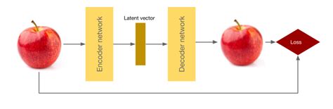 Variational Autoencoders For New Fruits With Keras And Pytorch By