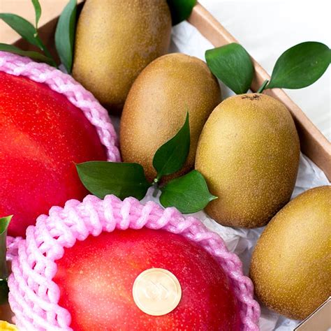 프리미엄 골드망고 And 애플망고 혼합 과일세트 3종 원모먼트