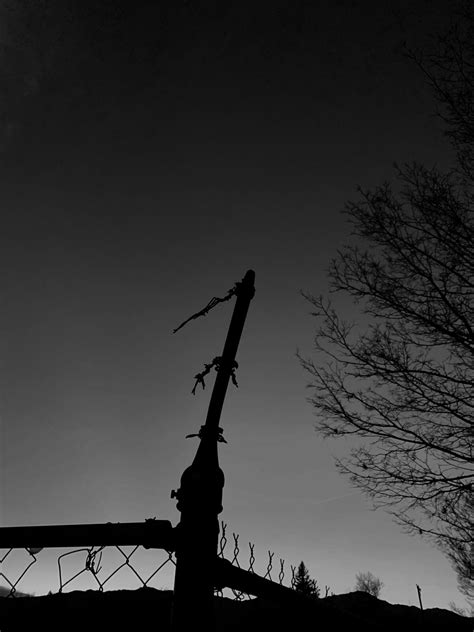 Luxury Girl Albums Songs Discography Biography And Listening Guide