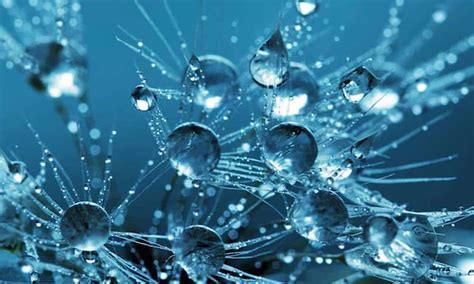 What Is Biomanufacturing Knowtechie