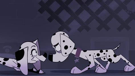 Dylan Dalmatian Wallpapers Wallpaper Cave