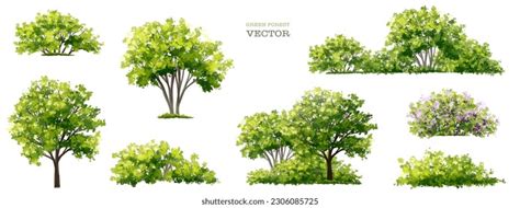 Tree Elevation Over Royalty Free Licensable Stock Vectors Vector Art Shutterstock