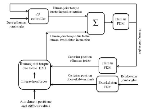 The Schematic Representation Of The Human Exoskeleton Interaction Model Download Scientific