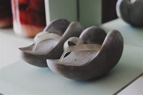 Beating Rabbit Heart