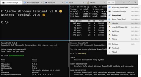 Softwarewindows Terminal Handwiki