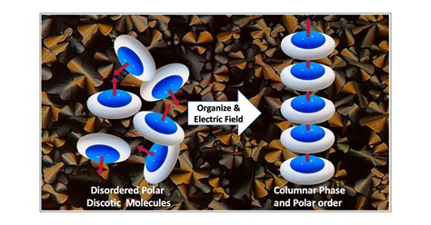 Molecular Shape And Polar Order In Columnar Liquid Crystals Accounts