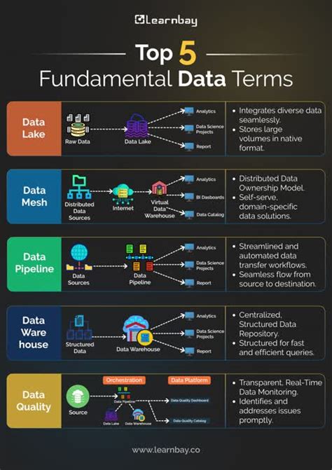 Learnbay On Linkedin Top 5 Data Terms