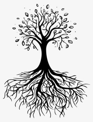 Tree Roots Png Tree With Roots Drawing Transparent PNG X Free Download On NicePNG