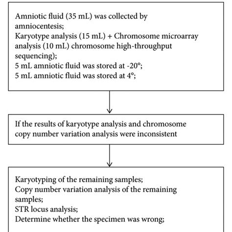 The Flow Chart Of The Disease Diagnosis Download Scientific Diagram