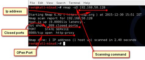 Infinite Security Network Testing Tools Nmap