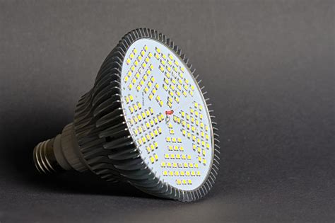 성장하는 모종을 위한 Led 파이토램프 클로즈업 검은 배경 0명에 대한 스톡 사진 및 기타 이미지 0명 Led 조명 강철 Istock