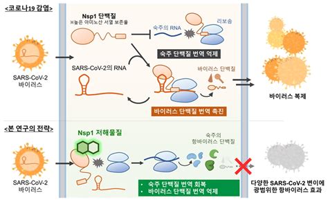 서울대학교 연구처·산학협력단