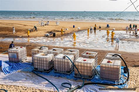 มูลนิธิบูรณะนิเวศ