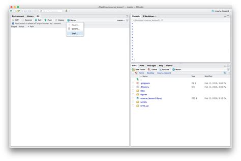 Lesson 1 R Basics Page Piccinini