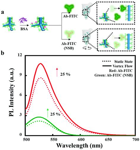 Protein Capture Before And After Rotation A Schematic Of The Cdse Download Scientific