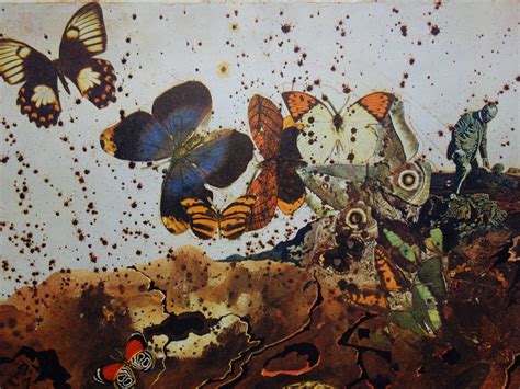 After Salvador Dali Butterfly Suite Auvergne Heliogravure And