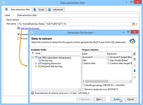 Data Extraction File Adobe Campaign