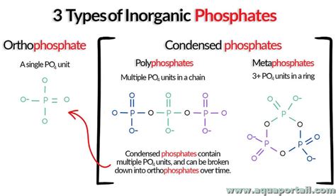 Orthophosphate Définition Et Explications