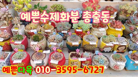210621📍예쁜다육 고급수제화분에 심어서 이가격😱 Youtube