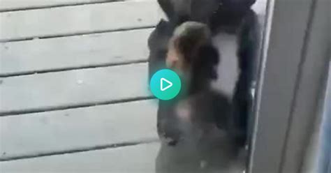 Hips Dont Lie Album On Imgur