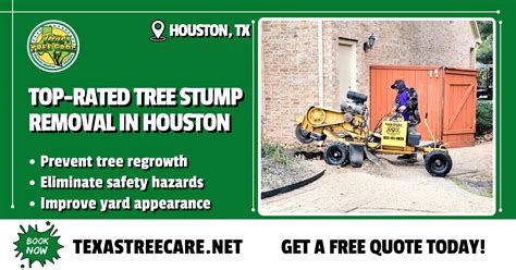 Tree Stump Removal In Houston Texas Tree Care