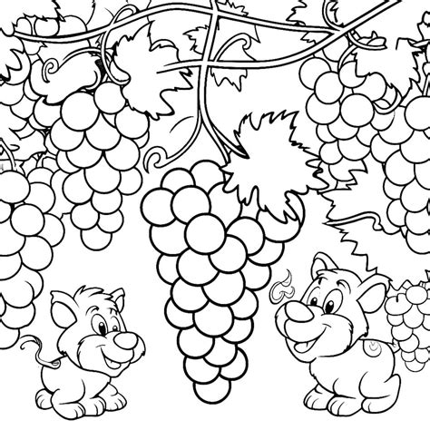 포도 색칠 공부 Kr에서 무료 색칠 공부