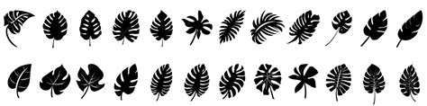 Premium Vector Leaf Icons Set Black Tropical Leaf Icons Isolated Vector Illustration