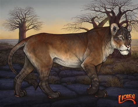 11 21 25 Raffle Lioness Forum Lioden