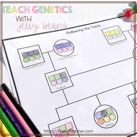 Teach Genetics With Jelly Beans The Owl Teacher