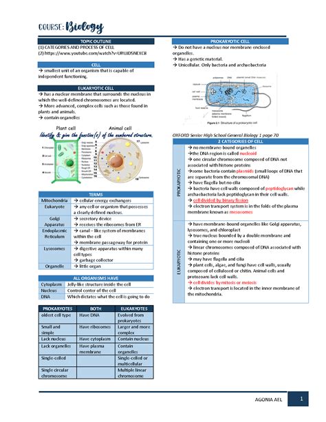 SOLUTION Cell Categories And Types Of Plant Cell And Tissues Studypool