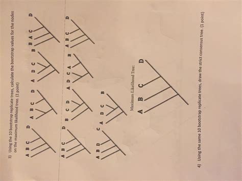 Solved Using The 10 Bootstrap Replicate Trees Calculate The Chegg