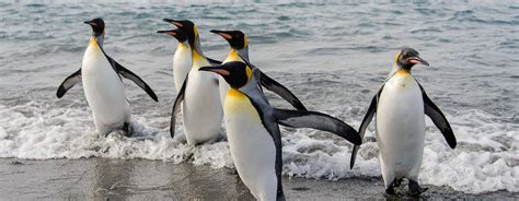 Register Gs Domains Blacknight Solutions