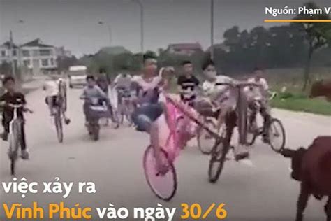 Hình Ảnh Xe Đạp Đẹp Nét Đẹp Tinh Tế Của Những Chiếc Xe Đạp Thú Vị