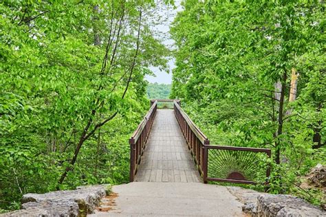 Premium Photo Treetop Canopy Bridge With Rising Sun Pattern On Railing Premium Photo Treetop Canopy Bridge With Rising Sun Pattern On Railing
