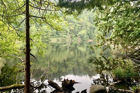 Exploring Natures Best 20 Scenic Hikes Near Bellingham Washington
