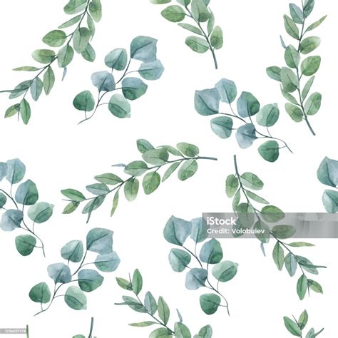 흰색 배경에 고립 된 녹색 유칼립투스 수채화의 나뭇 가지 식물 그림 매끄러운 패턴 탁나 프린트 포장지 복고풍에 대한 스톡 벡터 아트 및 기타 이미지 Istock
