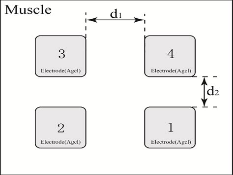 Layout Of Experimental Electrodes Download Scientific Diagram