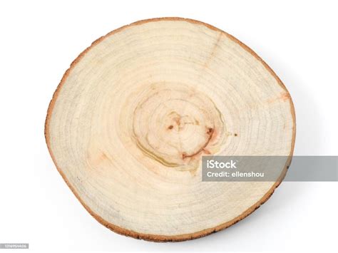 흰색 배경에 격리 된 나무 조각의 상단 보기 복사 공간을 가지고 있습니다 자연과 나무 개념 0명에 대한 스톡 사진 및 기타