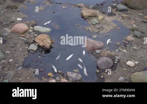 Fuel Tanker Crash Damage To The Ecosystem Oil Spill Problem And