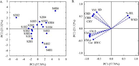 Two Dimensional Projection Of The Scores Of The Principal Components Download Scientific