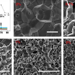 The XRD Pattern And SEM Micrographs The Inset Within Figure XRD Download Scientific Diagram