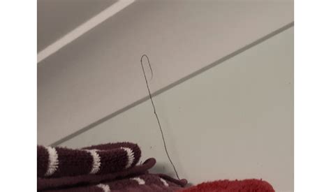 Damn Physics Engine Broke Again 😒 R Glitchinthematrix