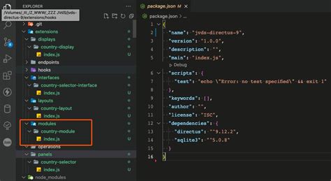 After Deleting A Custom Module Its Reference In The Sqlite Db Directus Settings Is Not