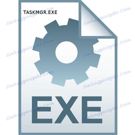 TASKMGR EXE أي نوع من العملية