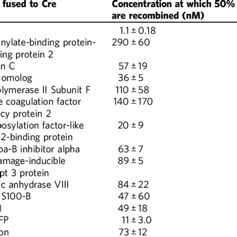 Protein Delivery Using Lipofectamine Rnaimax In Hela Dsred Cell Line Download Scientific Diagram